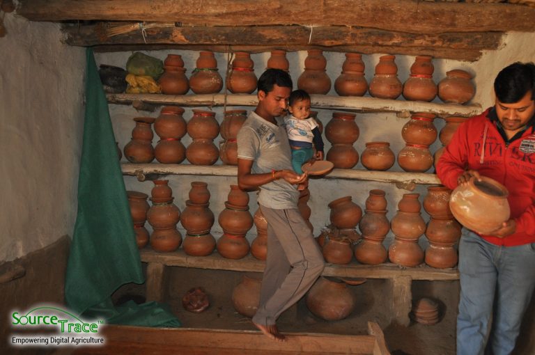 What are seed banks and why should seeds be preserved? - SourceTrace ...