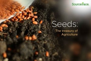 Seeds: The Treasury of Agriculture | SourceTrace Systems