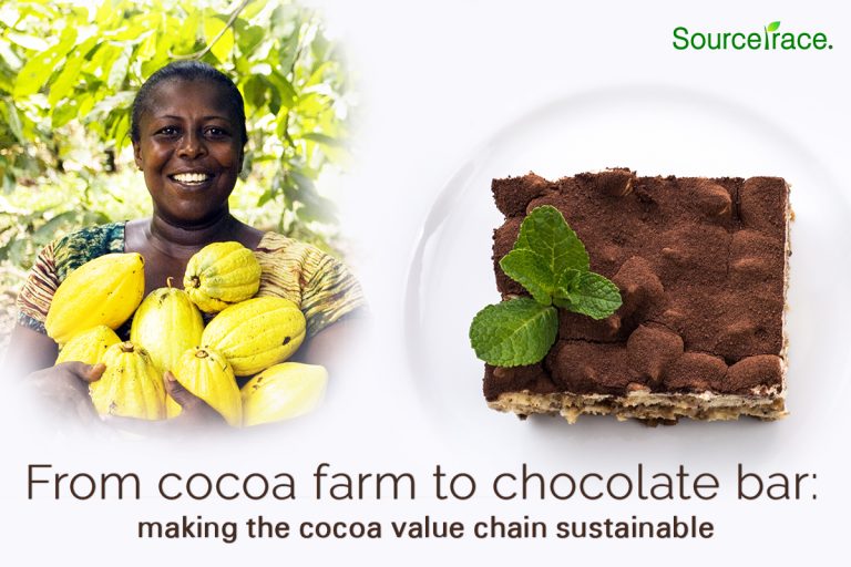 Cocoa value chain | Cocoa farm to chocolate bar